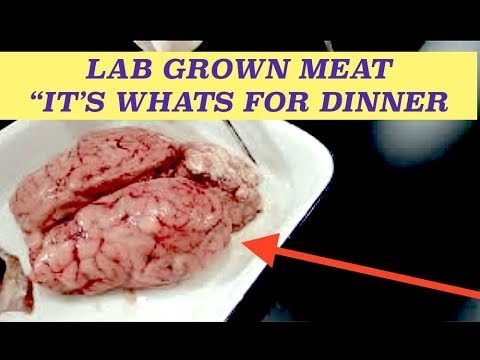 New Company SuperMeat, Lab Grown Meat, It's Whats for Dinner - Leak Project