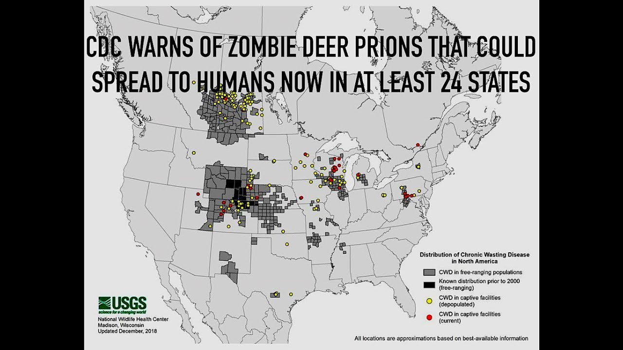 CDC Warns of Zombie Deer Prions in 24 States, Could Spread to Humans ...