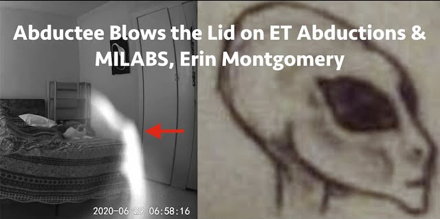 Abductee Blows the Lid Off ET Abductions & MILABS - Leak Project