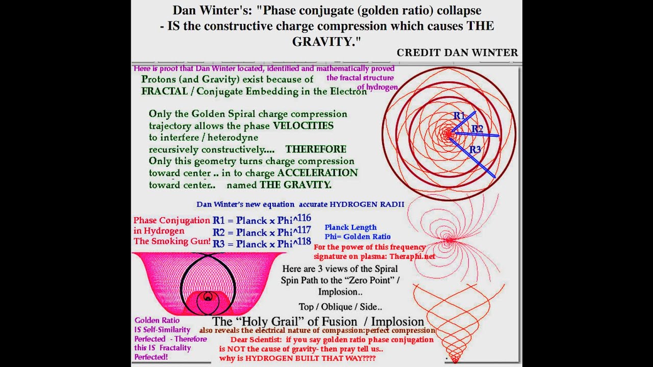 Dan Winter Archives - Leak Project