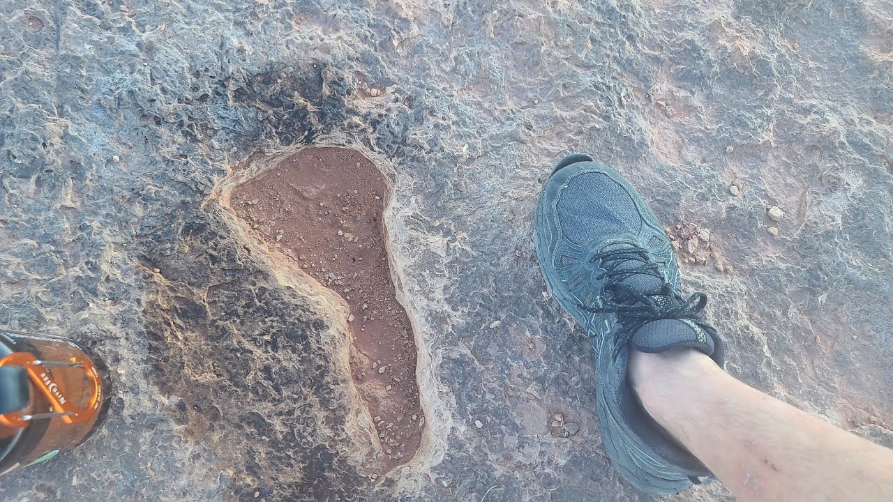 Ancient Human Footprints Next To Dinosaur Tracks Completely Change 