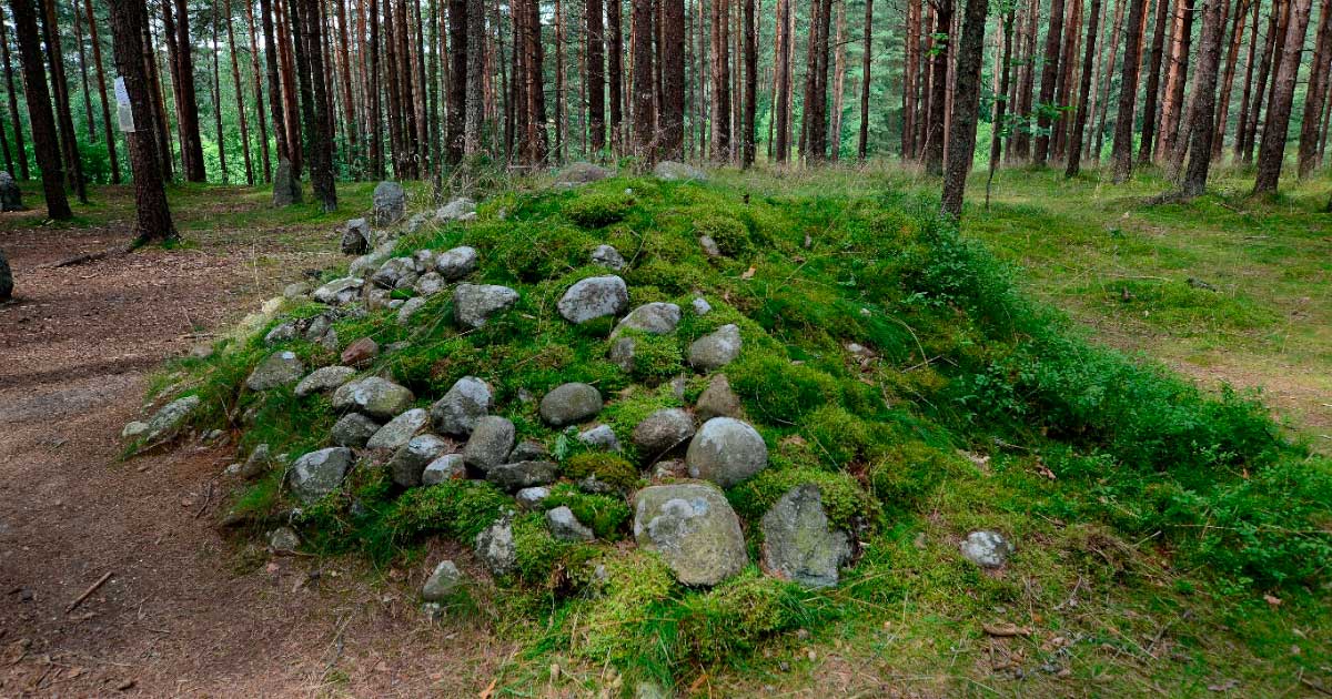 Over 800 Ancient Monuments Found in Polish Forest with LiDAR! - Leak ...