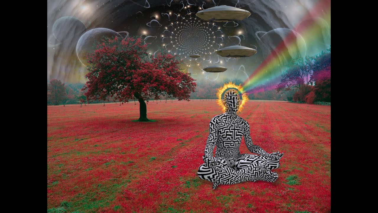DMT Dimensions, Entities Encountered in Hyperspace, Andrew R. Gallimore ...
